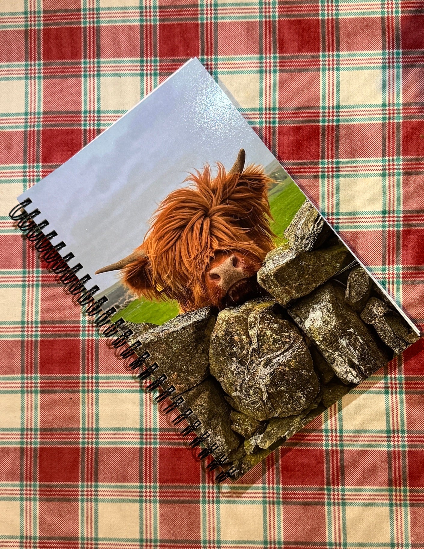 Highland Cow A5 Lined Notebook – Kitchen Coos & Ewes